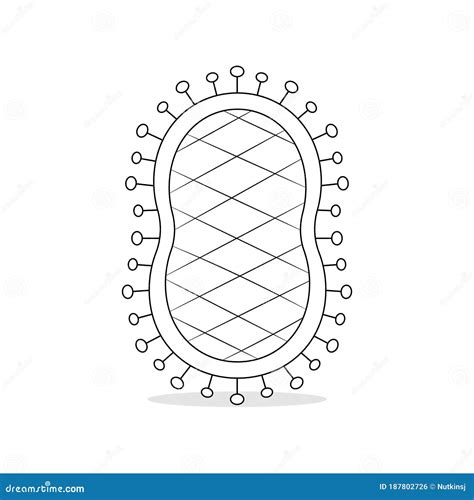 Parapoxvirus Disease Microorganisms Vector Colorless Cartoondealer