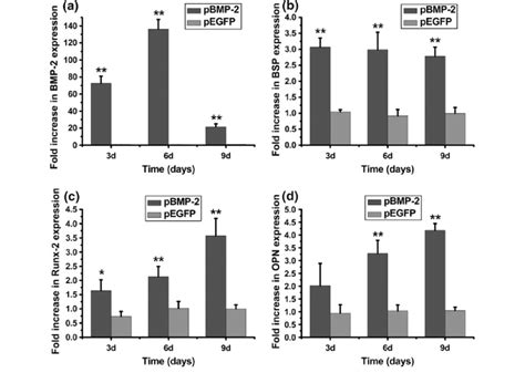 Rt Qpcr Analysis Gene Expression Of A Bmp 2 And Osteogenic Markers