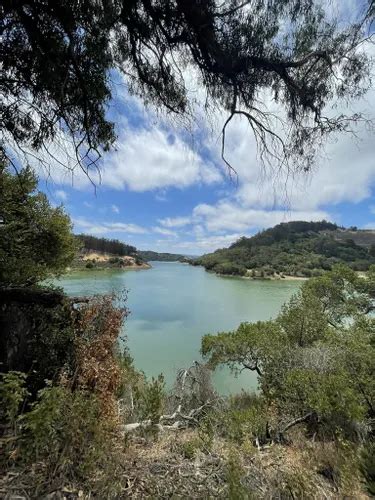 10 Best Hikes And Trails In Lake Chabot Regional Park Alltrails