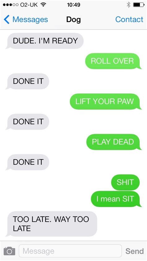 Dog Is Typing: Text Messages Dogs Would Send You If They Could | Funny text messages, Funny dog ...