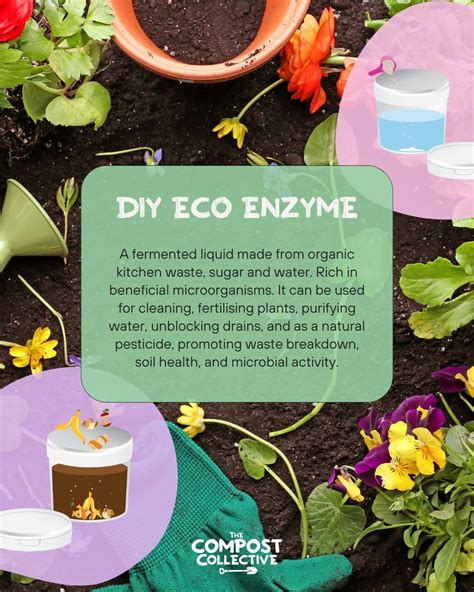 Compost Discover The Power Of Eco Enzyme 🌿 Made By Fermenting