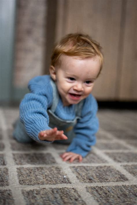 Radnors Top Picks At Eleven Months Old Hunter Premo