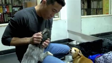 Psí Národ Cesara Millana 1 Upoutávka Psí Národ Cesara Millana