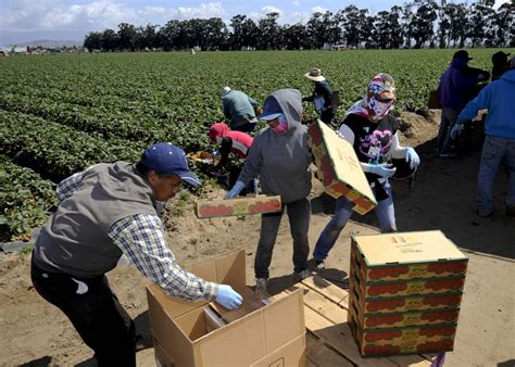 How Migrant Workers Have Contributed To Strong Us Job Growth Pbs News