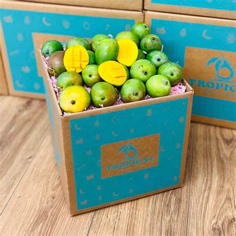 Sugar Mango Box Small 3 Lbs Tropical Fruit Box