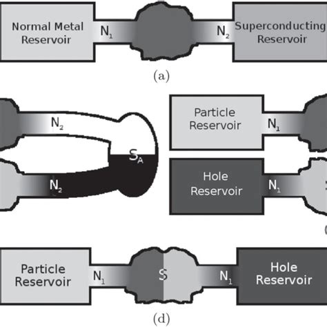 Schematic Representation Of A General Ns System Panel A A Generic Download Scientific