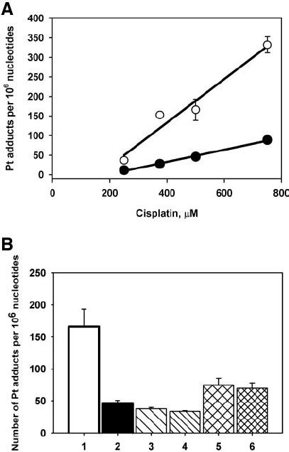 Accumulation Of Cisplatin And Oxaliplatin Adducts In Genomic Dna Of Download Scientific Diagram
