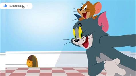 Tom And Jeri Cartoon All Characters Amna Life Style 🤨 Youtube