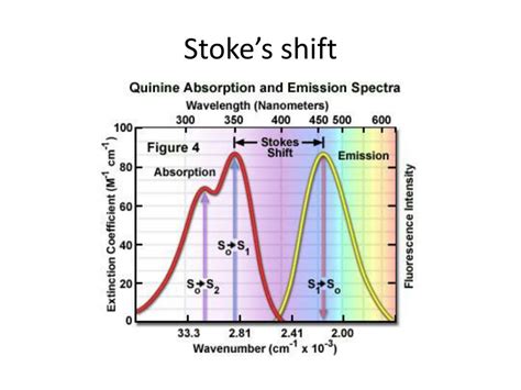 Ppt Principle Of Fluorescence Powerpoint Presentation Free Download