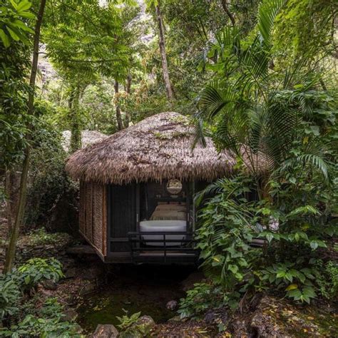 Carla Ardiles And Mark Marinis Wedding Registry On Zola