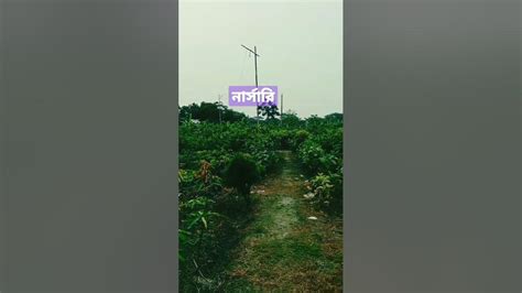 Reels Youtubeshorts Viral Video Nature Youtube