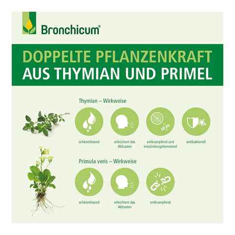 Bronchicum Elixir 100 Ml Arzneimittel Datenbank