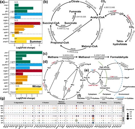 双因素研究：湿地类型与季节对微塑料生物膜的影响群落微生物细菌