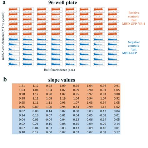 Figure Supplement 2 Quality Assessment Of The Mt Bench Cell Assay A Download Scientific