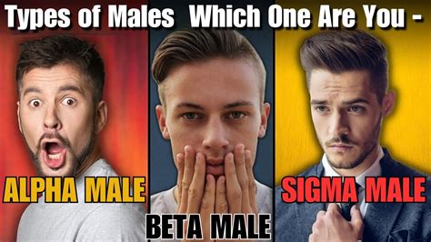 Types Of Males Which One Are You Alpha Male Beta Male Sigma Male