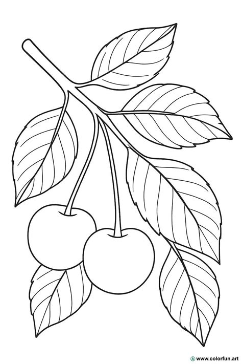 Dibujo Para Colorear De Cereza Con Hojas Descargar O Imprimir De Forma