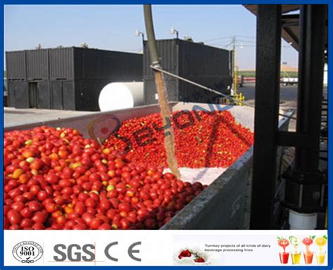 Stainless Steel Tomato Paste Processing Plant For Tomato Sauce