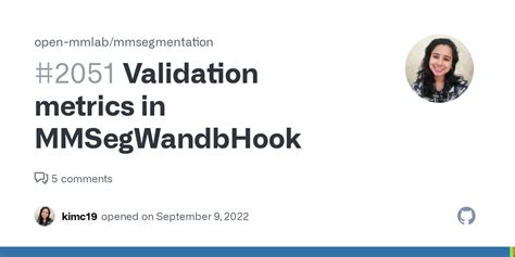 Validation Metrics In Mmsegwandbhook · Issue 2051 · Open Mmlabmmsegmentation · Github
