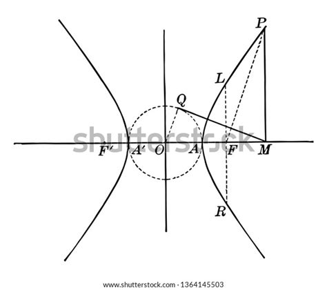 This Image Shows Hyperbola Auxiliary Circle Stock Vector Royalty Free