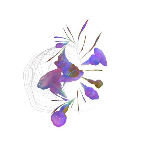 Phases In Null Generative Cd Visuals On Behance