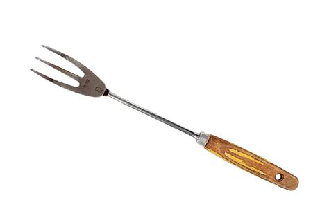 Types Of Forks And Their Uses With Pictures Homenish