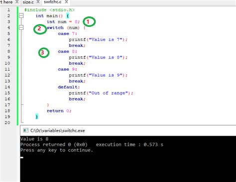 Switch Statements And Embedded Switch Statements In C Program