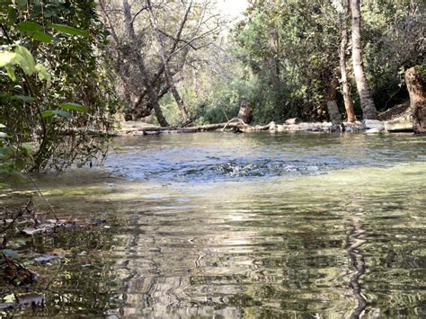 מתכננים טיול מים מרענן בימים החמים כדאי שתחשבו שוב אזהרת זיהום בנחלי הצפון חי פֹּה תאגיד