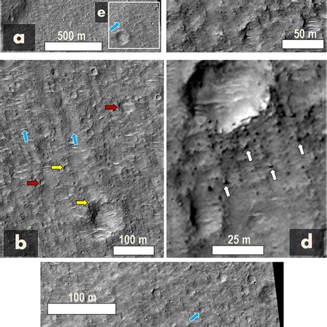 Detailed Analysis Of The Shpds Lobate Margin Pinpointed In Fig 3b As