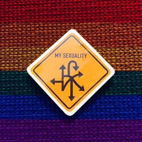 My Sexuality Road Sign Sticker By Guest Artist Hali Queer Etsy