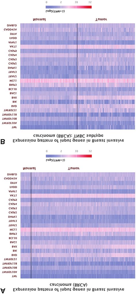The Apoptosis Regulated Genes In Tumor And Normal Breast Tissue Using