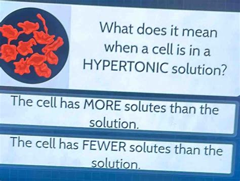 Solved What Does It Mean When A Cell Is In A Hypertonic Solution The