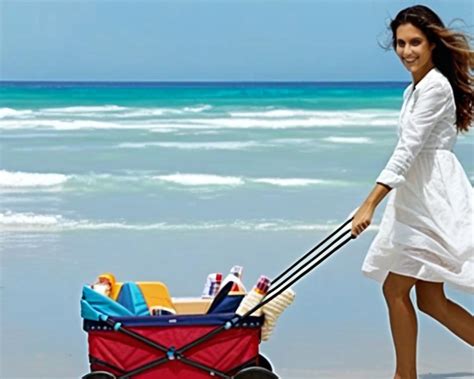 Carritos De Playa Comparativa De 11 Modelos Para Elegir Bien El Blog