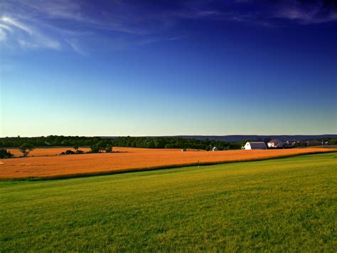 무료 이미지 자연 잔디 수평선 구름 들 목초지 대초원 햇빛 아침 언덕 새벽 황혼 평원 그림 물감 권운 권층운 하늘 경치 생태계 스텝