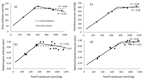 How Much Phosphorus Uptake Is Required For Achieving Maximum Maize