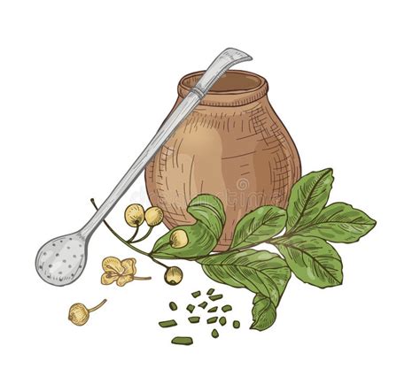 Conception Colorée De Logo De Bouteille Deau De Calebasse Vase En