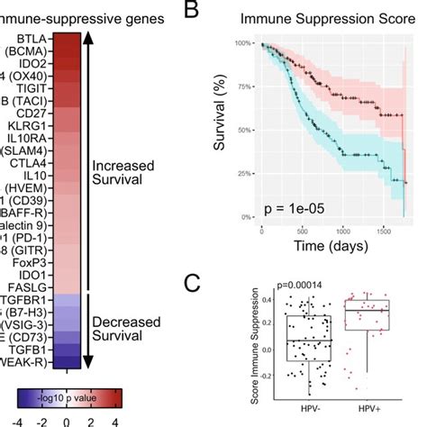 High Expression Of Immune Suppression Genes Is Associated With