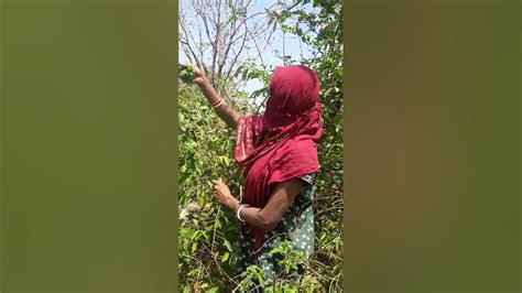 Bhadariya Shag 😋🥬 Youtube