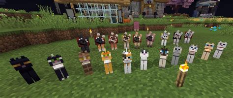 Gato Perro De Minecraft