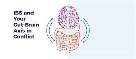 Ibs And Your Gut Brain Axis In Conflict