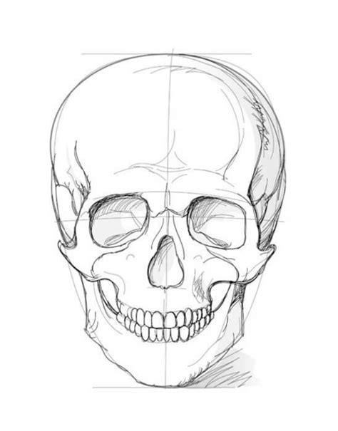 How To Draw A Skull With A Pencil Step By Step Drawing Tutorial