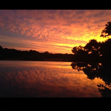 Backyardglory Assisted By Jaci Skyfire Mat Hoffman