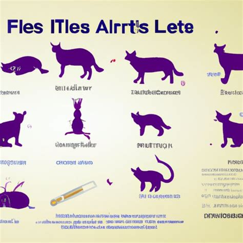 How Does An Indoor Cat Get Fleas Understanding The Causes