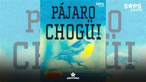 Letra Pájaro Chogüí” Grupo Audaz De Rigo Domínguez En Saps Grupero
