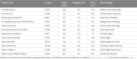 Frontiers Hypothesis And Theory Do Trees “release The Tension” In
