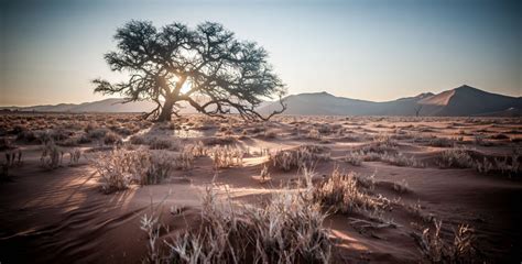 Cassinga Day In Namibia In 2026 Office Holidays