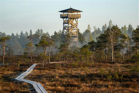 Eu Startups 10 Estonian Startups To Keep An Eye On In 2025 — Invest In