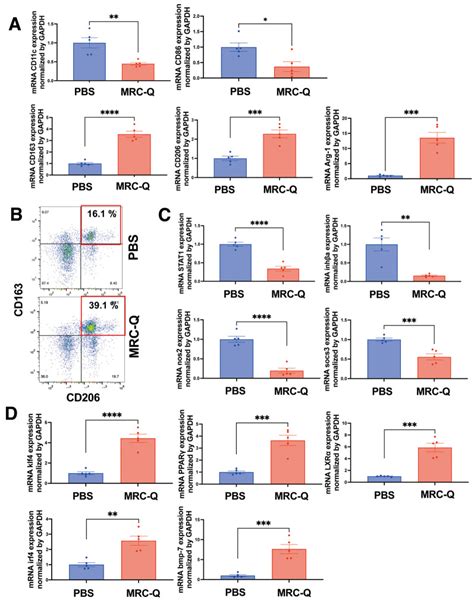 Allogenic Mitochondria And Associated Organelle Complex Treatment