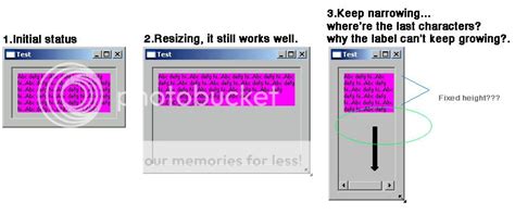 Big Trouble Qscrollarea And Qlabel With Word Wrap And Qtaligntop Layout