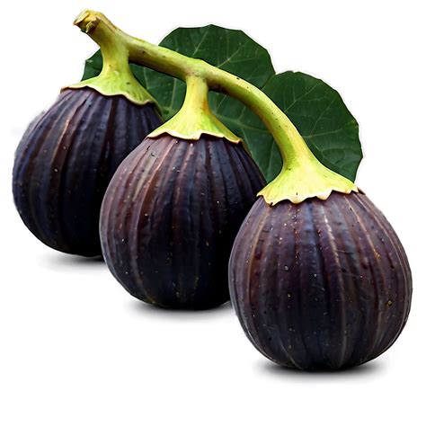 Figs Png Images 100