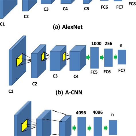 The Structures Of Different Cnn Models That Deal With Different Levels Download Scientific